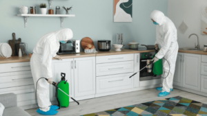 Steps Of Cleaning Blood And Body Fluid Spillage - Cleanup Team